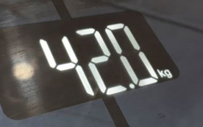 조민아, 42kg 몸무게 인증 “한결 같은 유지어터” : ZUM 뉴스