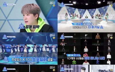 `프듀X101` 본방 앞서 더 비기닝 편성…스포일러 대방출 : ZUM 뉴스