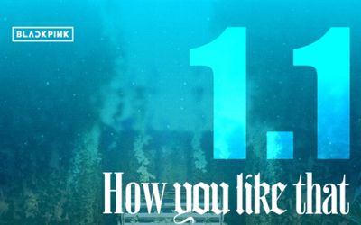 블랙핑크 'HYLT' MV 11억뷰 돌파…통산 6번째 : ZUM 뉴스