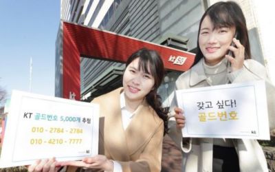 KT, 25일부터 골드번호 5000개 응모 : ZUM 뉴스