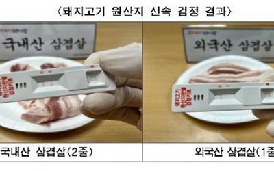 서울시, 여름 휴가철 인기품목 돼지고기 원산지 특별점검 : ZUM 뉴스