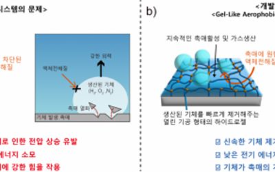 그린수소부터 질소·산소까지 … UNIST, 만능 기체 생산 시스템 개발 : ZUM 뉴스