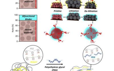 전기 전달 72배나 껑충!… UNIST, 고분자 바인더 개발 배터리 성능 꿈틀 : ZUM 뉴스
