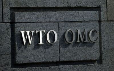 WTO 각료회의 개혁 합의 실패…전자상거래 관세는 2년 유예 : ZUM 뉴스