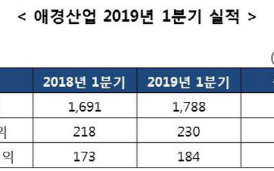 애경산업, 1Q 영업익 230억원…생활용품 영업익 2배 성장 : ZUM 뉴스