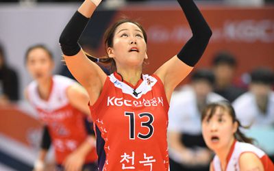 KGC인삼공사 주전세터 이재은, 전격 은퇴 선언 : ZUM 뉴스