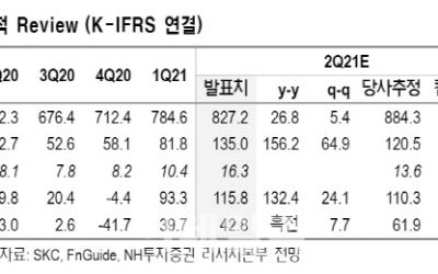 SKC, 2Q 분기 최대 영업익…하반기 동박 사업이 성장 주도-NH : ZUM 뉴스