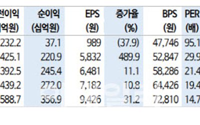 SKC, 2Q 영업익 컨센서스 하회…3Q 동박 성장 지속-신한 : ZUM 뉴스