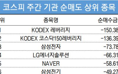 코스피 주간 기관 순매도 1위 'KODEX 레버리지' : ZUM 뉴스