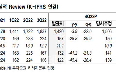 팬오션, 中 원자재 수요 부진에 1Q 시황 약세 지속…목표가↓-NH : ZUM 뉴스