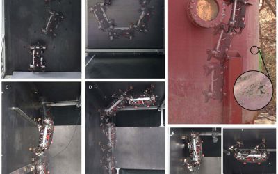 모래 위에서도 천장에서도 ‘거뜬’…보행로봇 힘주는 KAIST : ZUM 뉴스
