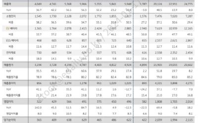 삼성SDI, 4Q 부진한 실적 감안해도 저렴한 밸류…목표가↓-KB : ZUM 뉴스