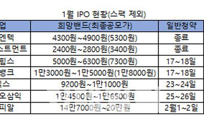 연초부터 뜨거운 IPO시장…5년 만의 빅피크 오나 : ZUM 뉴스