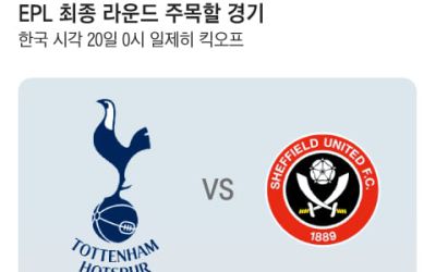 손흥민·황희찬, 피날레 장식할까… EPL ‘운명의 20일’ : ZUM 뉴스