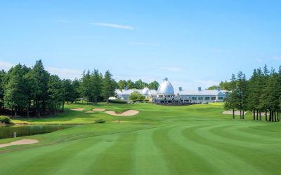형형색색 매화의 향연… 사계절 골프 치며 낫토·히타치규 맛볼까 : ZUM 뉴스
