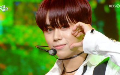 '뮤뱅' TFN, '아마존'으로 화려한 컴백 : ZUM 뉴스