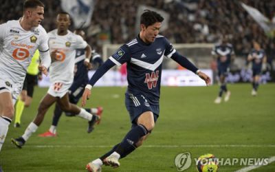 리그1 브레스트도 황의조에 러브콜…"선수 우선순위는 EPL" : ZUM 뉴스
