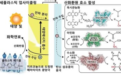 KAIST "태양빛·전기 이용해 미세플라스틱을 고부가 화합물로" : ZUM 뉴스