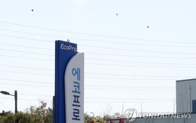 이차전지株 장중 반등 성공…에코프로 '황제주' 복귀(종합) : ZUM 뉴스