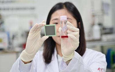 KIST "고온 수전해 견디는 나노촉매 개발…수소 생산량 2배" : ZUM 뉴스