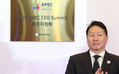 20년 만에 국내서 열리는 APEC...최태원 "대한민국 재도약 계기로" : ZUM 뉴스