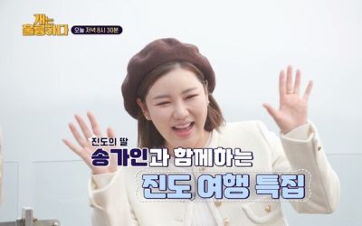 송가인 KBS 2TV ‘개는 훌륭하다’…“고향 진도 일일 가이드” : ZUM 뉴스