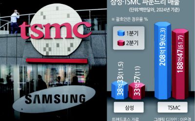 삼성·TSMC, UAE에 반도체공장 추진 : ZUM 뉴스