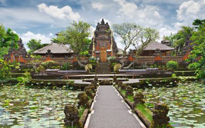 "관광객 몸살"…인도네시아 '발리' 결국엔 이런 결정을 : ZUM 뉴스