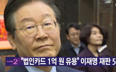 [YTN 실시간뉴스] "법인카드 1억 원 유용" 이재명 재판 5개 : ZUM 뉴스