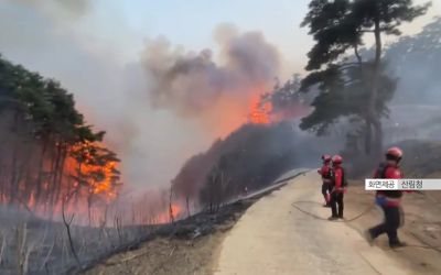 엿새 만에 경북 주불 진화...남은 건 지리산 산불