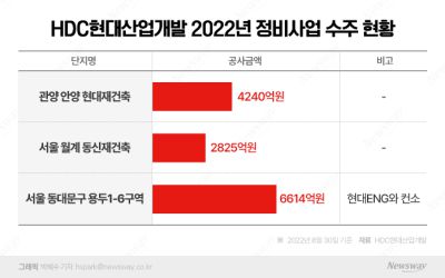 공백기 장기화 우려됐는데···공공재개발 1호 품은 HDC현산, 수주 탄력 : ZUM 뉴스