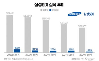장기성장 자신한 삼성SDI, "AI로 ESS 수혜 확대"(종합) : ZUM 뉴스