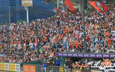 KBO리그 500만 관중 돌파 눈앞 : ZUM 뉴스