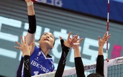 스파이크 날리는 IBK 표승주 : ZUM 뉴스