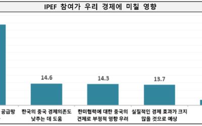 국민 절반 "韓 IPEF 참여, 공급망 협력 강화 기대" : ZUM 뉴스