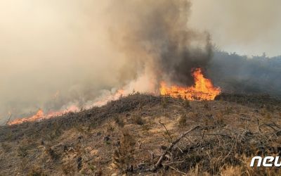 '산불 피해' 특별재난지역 입대 대상자, 입영일자 미룰 수 있다 : ZUM 뉴스