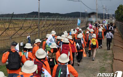 'DMZ 따라 파주에서 고성까지' : ZUM 뉴스
