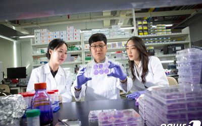 UNIST, 감염병 동시에 걸렸을 때 면역 반응 작용 원리 밝혀 : ZUM 뉴스