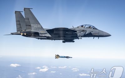 美국방부 "한국에 F-15K 업그레이드·장비 잠재적 판매 승인…약 62억 달러" : ZUM 뉴스