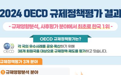 세계 일류된 K-규제 정책…OECD 규제 정책 평가 3개 분야 중 2개 1위 : ZUM 뉴스
