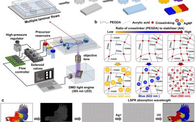 '자외선 비추면 숨겨진 새 그림이'…UNIST, 은닉형 위조방지 기술개발 : ZUM 뉴스