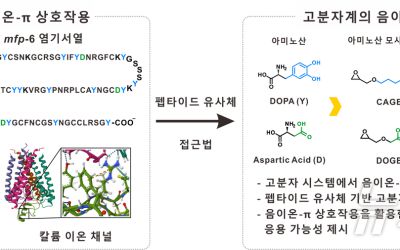 연세대·UNIST, 고분자 응집력 강화 원리 밝혀 : ZUM 뉴스