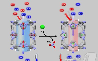 UNIST·서울대, 0.01 나노미터 정밀 조절 '중수소 분리'…효율 2배↑ : ZUM 뉴스