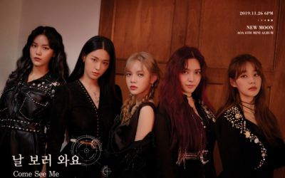 AOA, 26일 5인조 컴백…타이틀곡은 '날 보러와요' : ZUM 뉴스