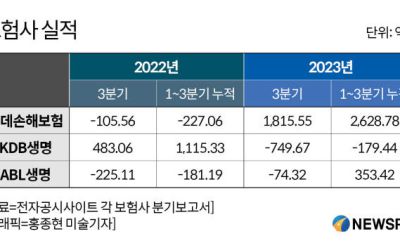 M&A 매물 보험사 실적 희비…롯데손해보험 웃고·KDB생명 울고 : ZUM 뉴스