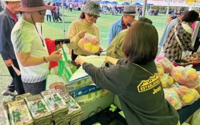 강진군 갈대축제, 지난해 매출 5일 만에 초과 : ZUM 뉴스