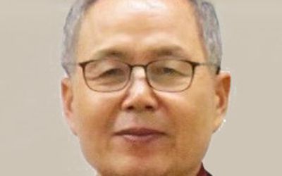 [기고] '조류 탐지 레이더' 설치하면 항공 참사 막을 수 있다 : ZUM 뉴스