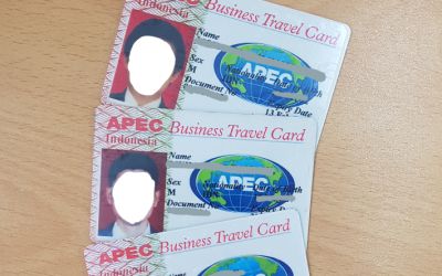 '기업인으로 위장' APEC카드 불법 발급받아 입국한 외국인들 : ZUM 뉴스