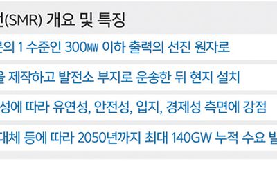 내수 침체 빠진 국내 건설사, 새 먹거리 SMR 시장 진출 속도 : ZUM 뉴스