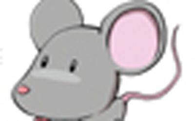 [백운산의 오늘 운세] 2019년 05월02일